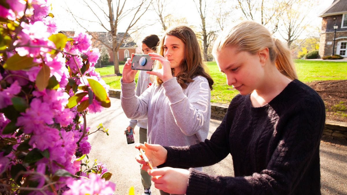 Endowment | St Andrew's School Rhode Island